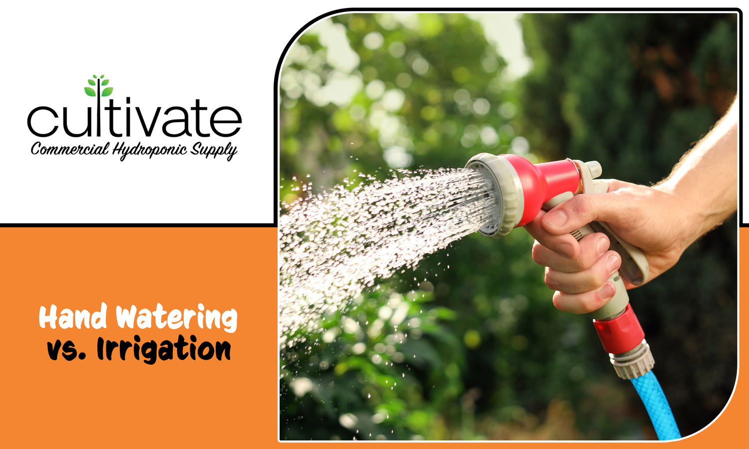 Hand Watering vs. Irrigation – Cultivate Supply
