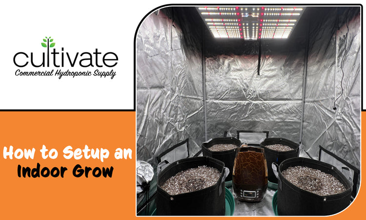 How to Set Up an Indoor Grow Tent – Cultivate Supply