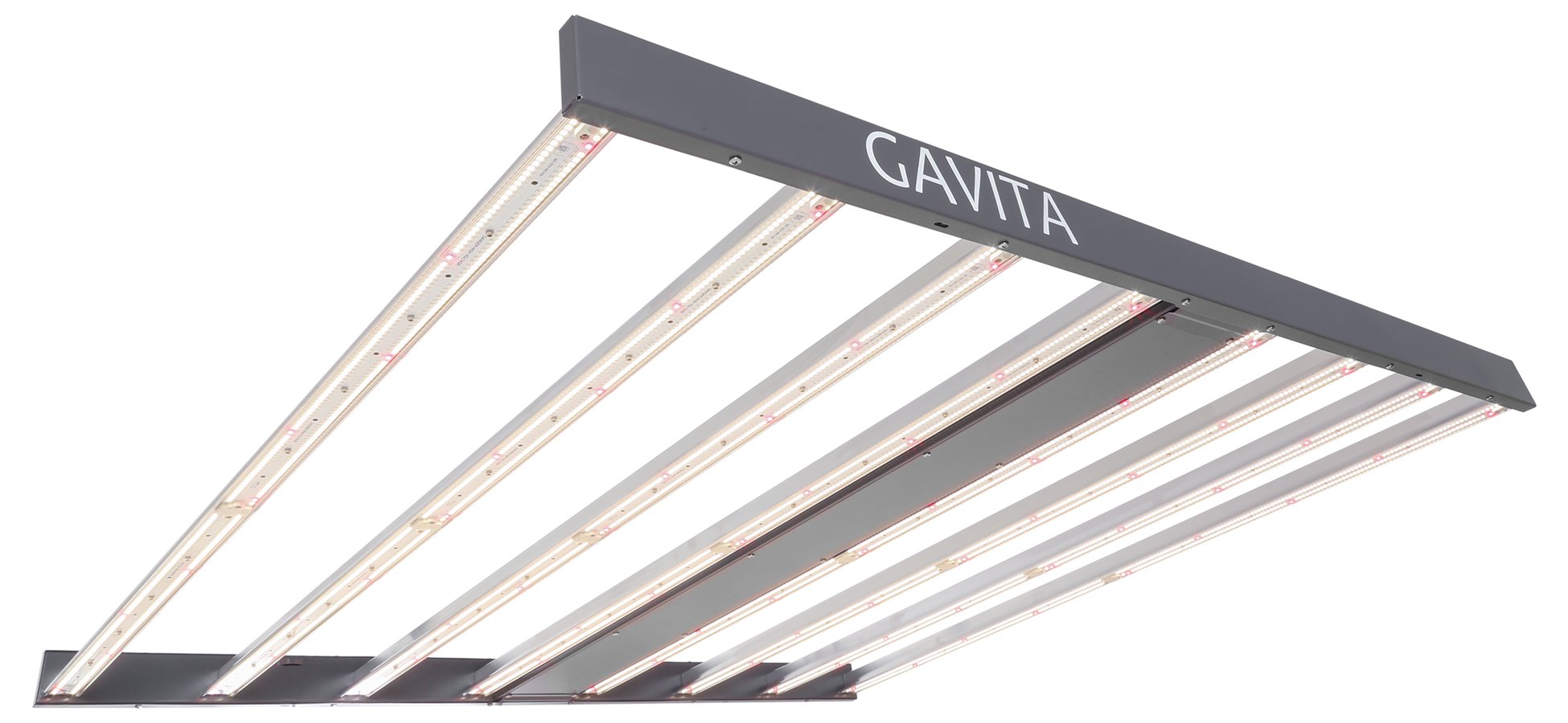 The Rise of LEDs: Gavita LED [Cultivate Product Feature] – Cultivate Supply