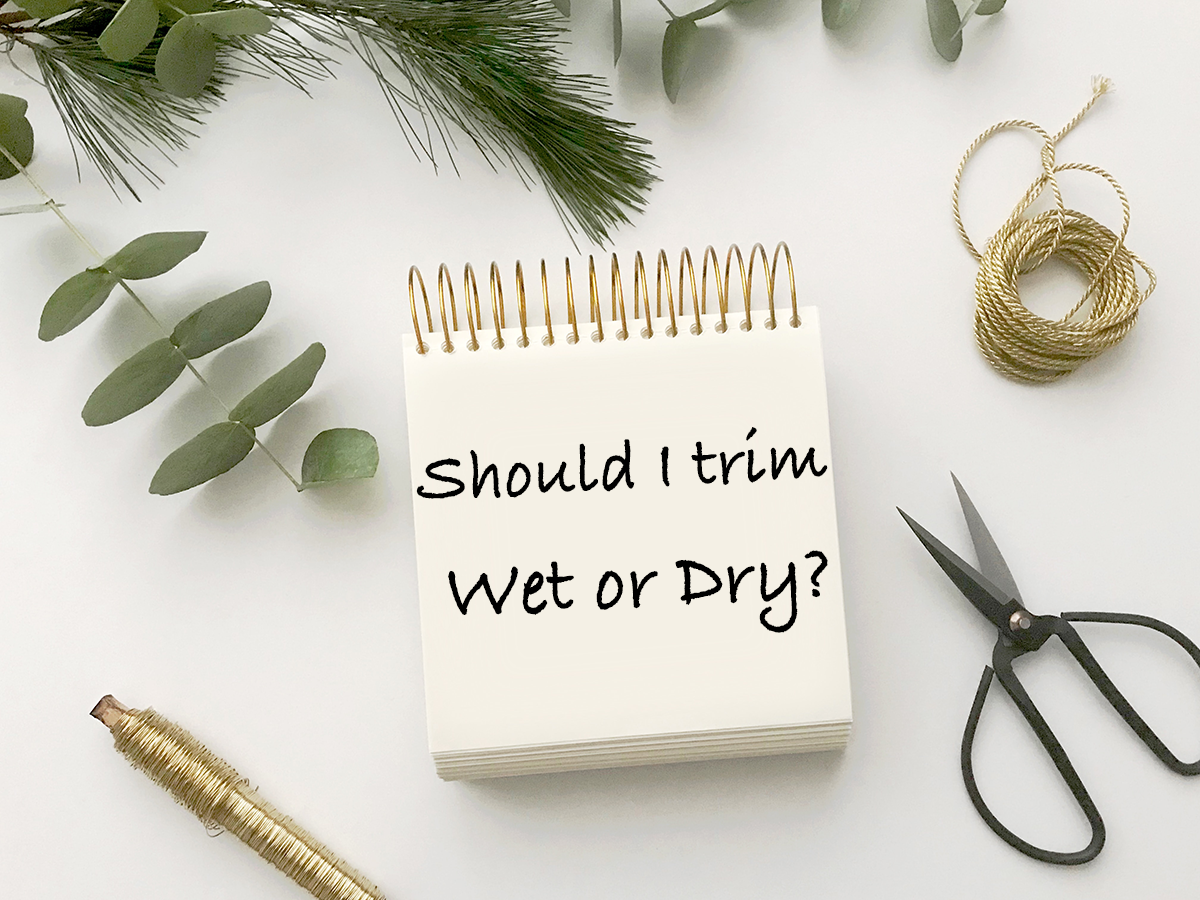 Wet Trim vs. Dry Trim: Which is better? – Cultivate Supply