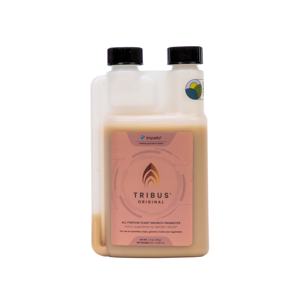Impello Tribus Original – Cultivate Supply